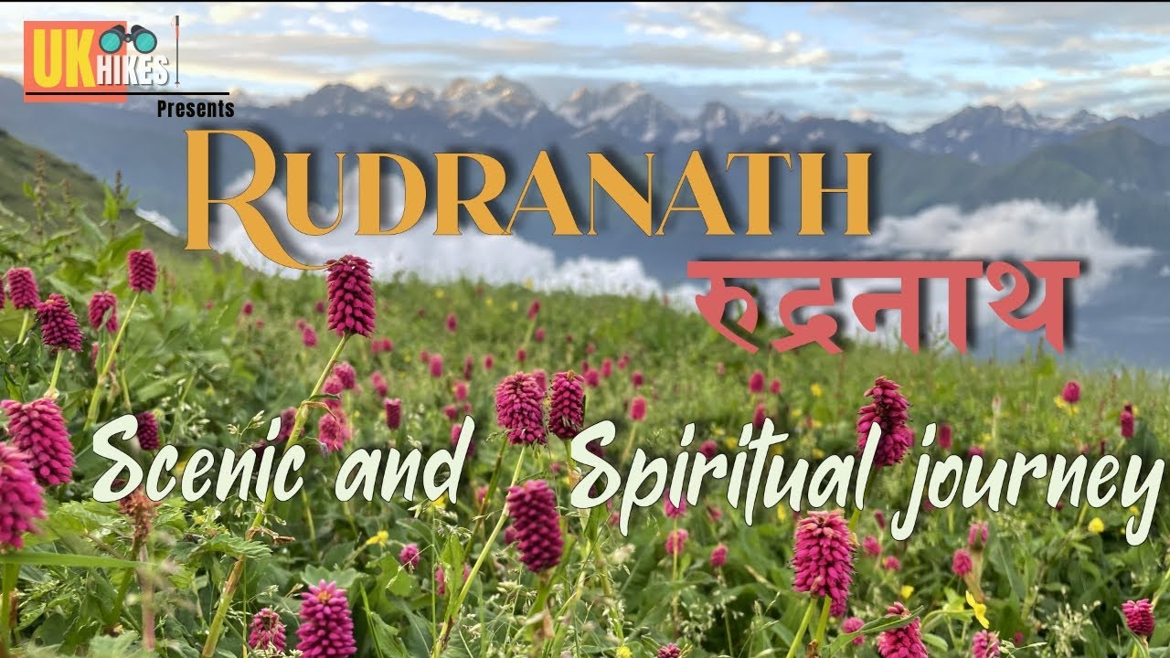Rudranath Trek - Scenic view and Drone shots | रुद्रनाथ यात्रा ...