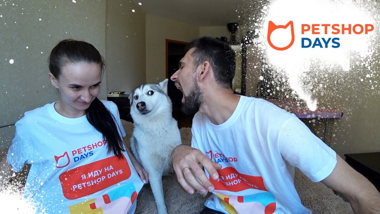 АНОНС КРУПНЕЙШЕГО СЕМЕЙНОГО ФЕСТИВАЛЯ PETSHOP DAYS (МОСКВА 2.06.2018 ...