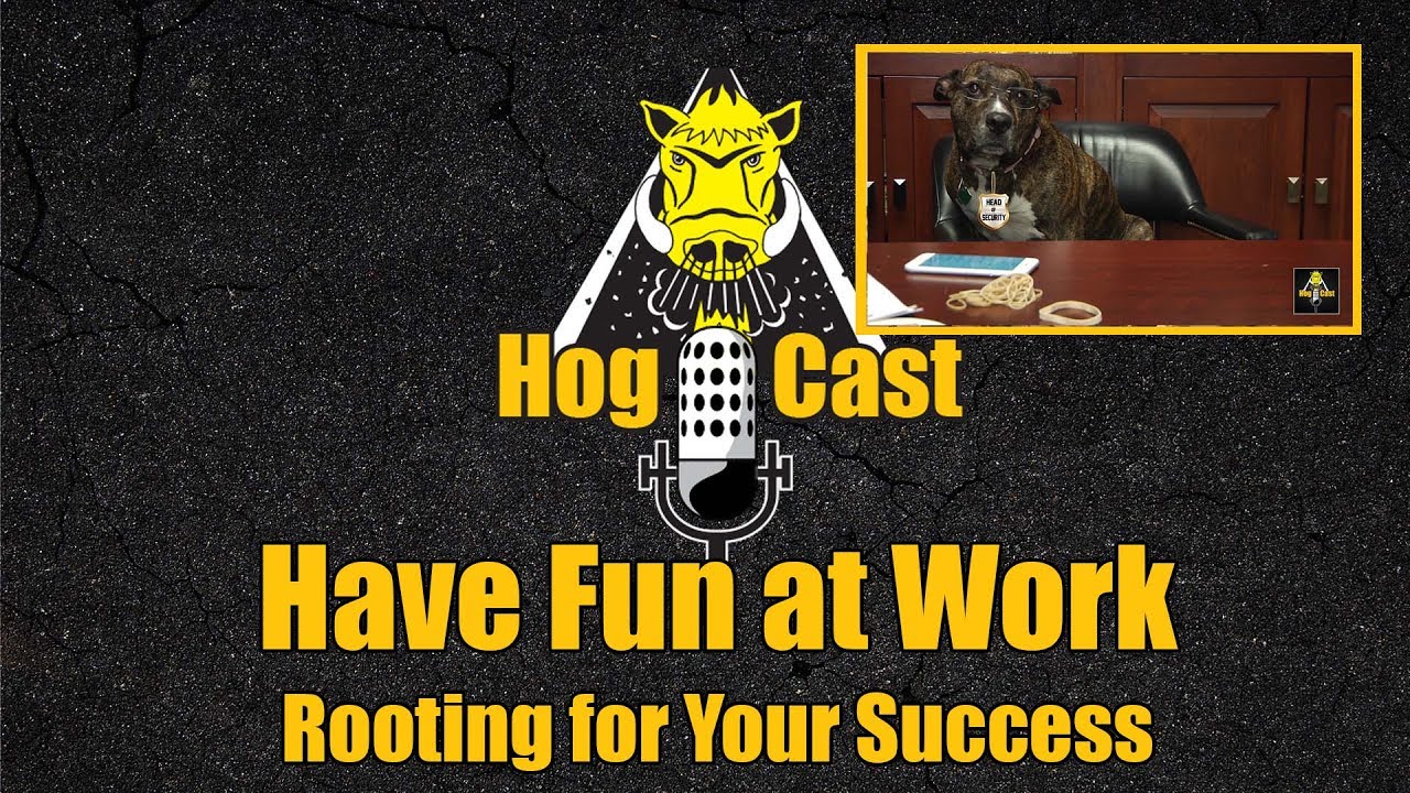 Hog Cast - Have Fun At Work - YouTube