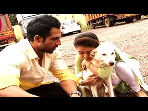 Devoleena Bhattacharjee AKA Gopi's Dog Jugnu Gets Sick | #TellyTopUp ...