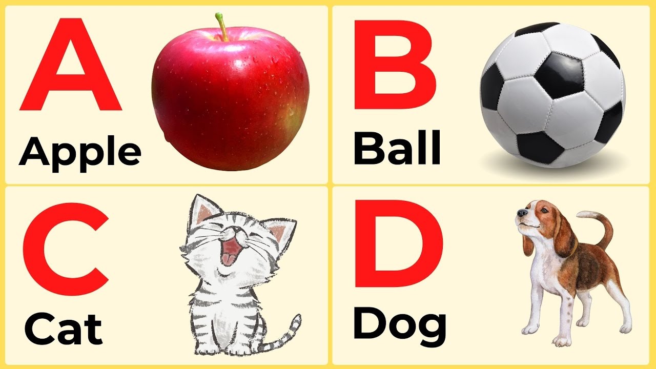 Learn Alphabets with live examples | a to z | Alphabet | Vanya Kids TV ...