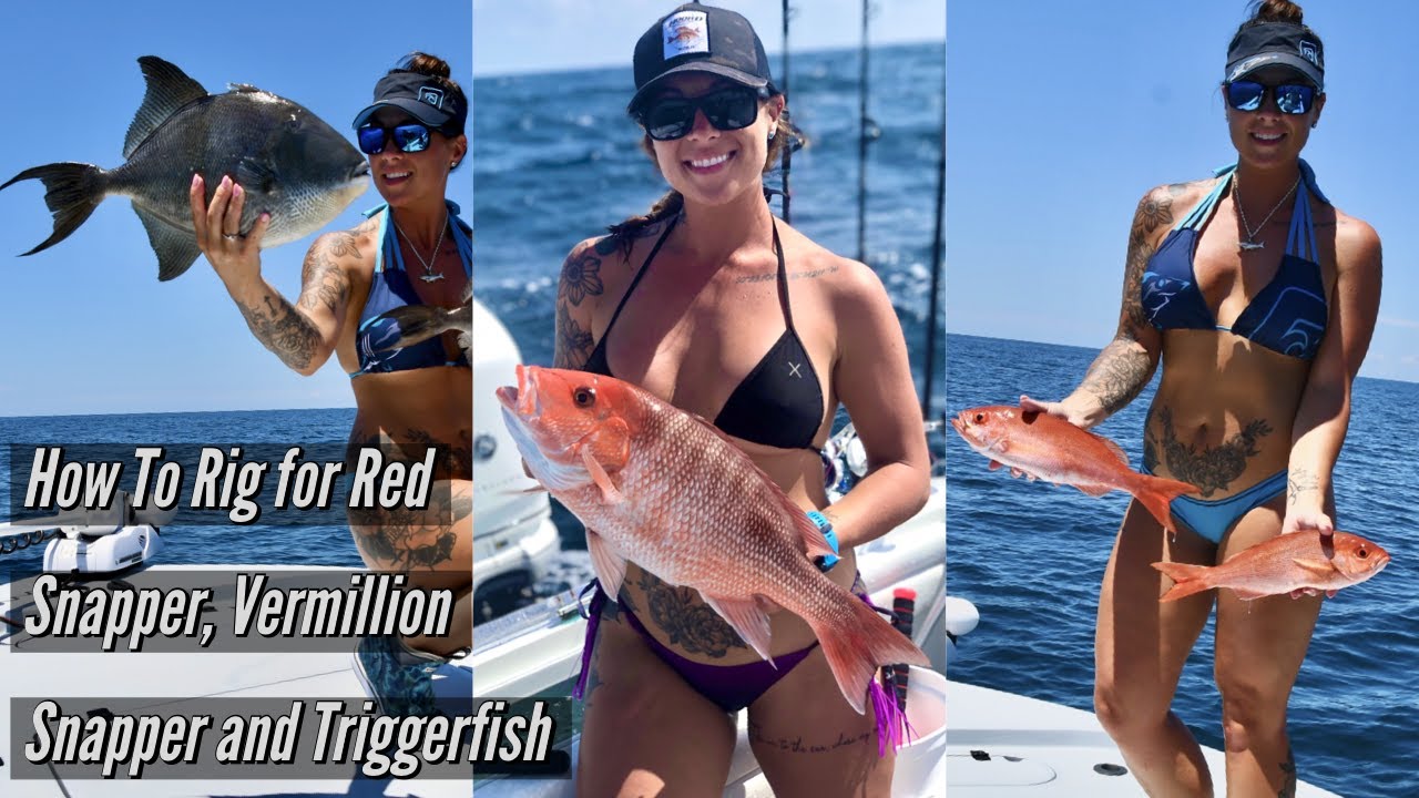 HOW to CATCH RED SNAPPER, TRIGGERFISH, VERMILLION SNAPPER and WHITE SNAPPER - YouTube