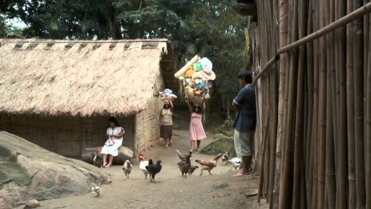 Strange insect discovered - BR2 Special Report - YouTube