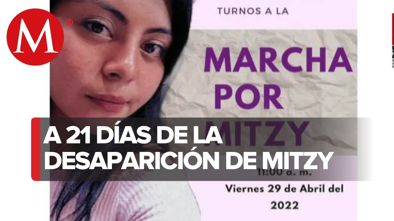 Buscan ayuda para encontrar a Mitzy; se perdió en Nezahualcóyotl ...
