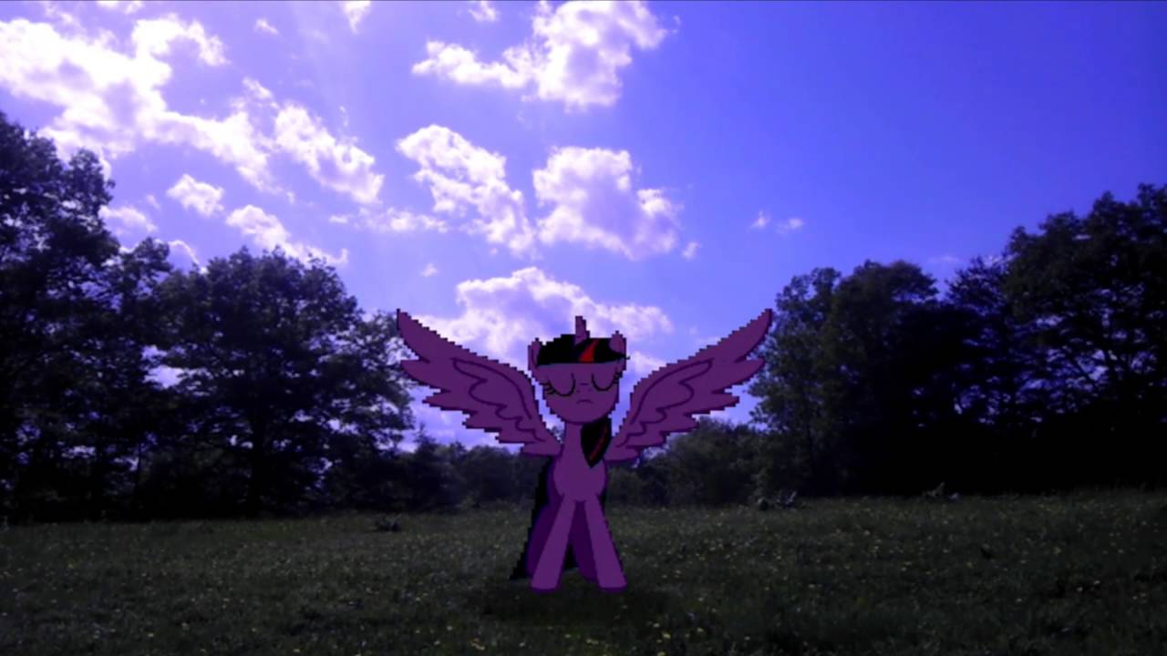 Ponies in Real Life (Experiments) [MLP IRL] + Greenscreen DL - YouTube