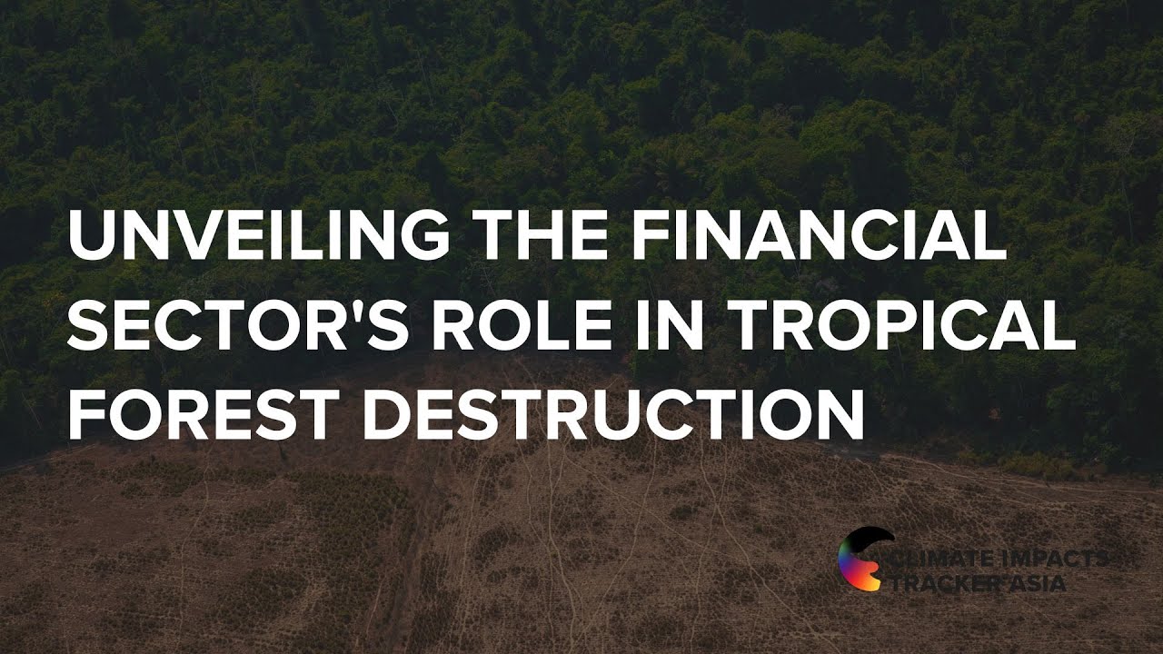 Unveiling the Financial Sector’s Role in Tropical Forest Destruction ...