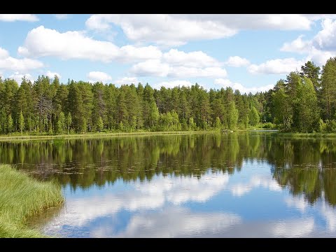 Celtic Mantra Music for Energization and Energetic Healing" - YouTube