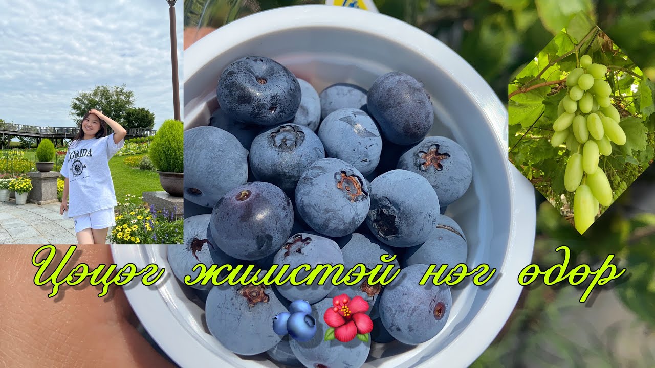 ИДЭЖ УУЖ Л ЯВНА Youtube