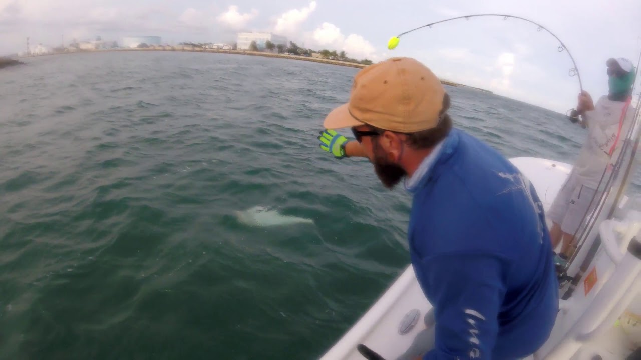 Key West - Tarpon Fishing - YouTube