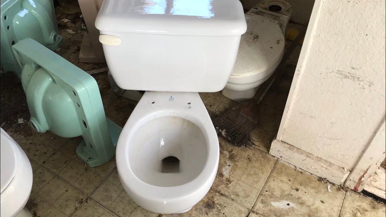 Newly-Acquired 2003 Crane Plumbing Radcliffe Toilet and Marbleized 1978 ...