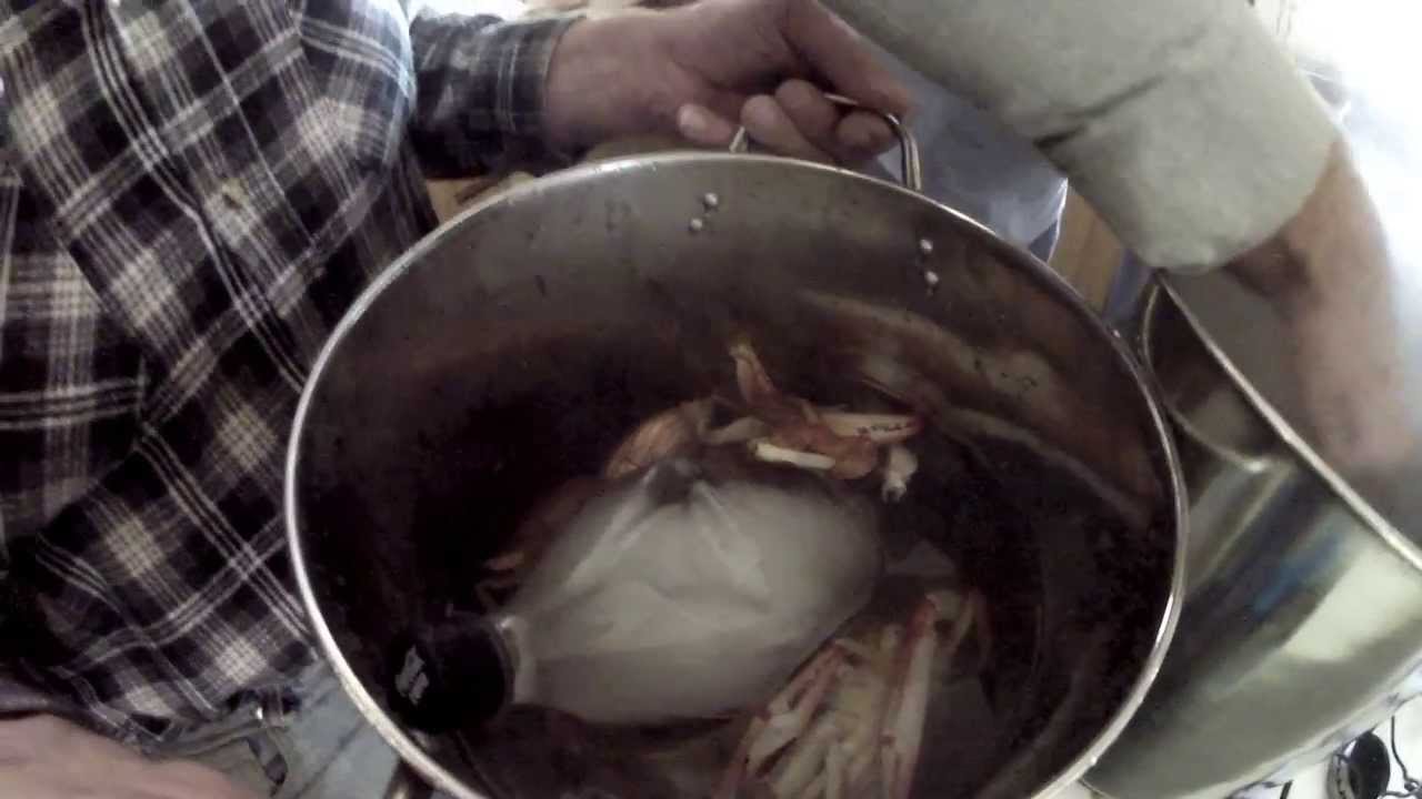 Crabbing in Tickera and Wallaroo, South Australia, on GoPro HD - YouTube