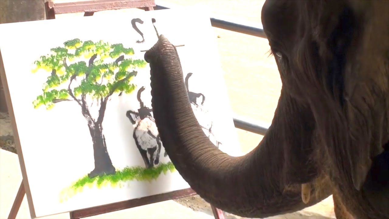 Top 7 Animales Con Talentos Increíbles - YouTube