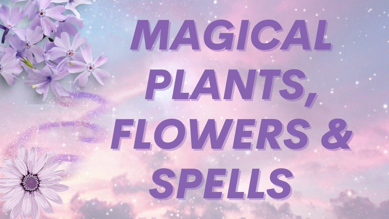 Plant Magick, Green Witchcraft & Spells! - YouTube