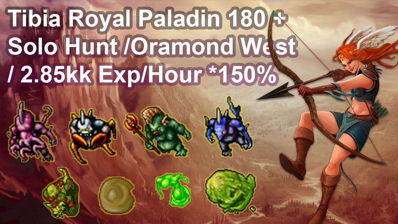 Tibia Royal Paladin 222 (180+) Solo Hunt /Oramond West/ 2.85kk Exp/Hour ...