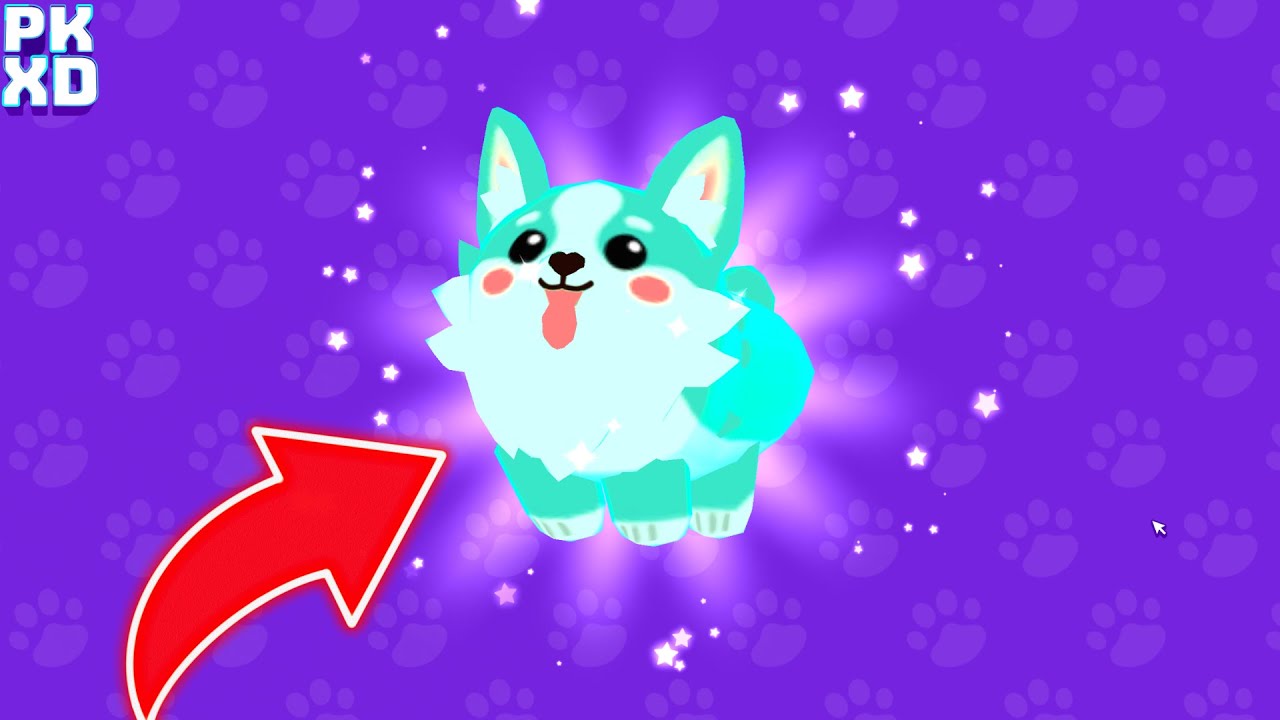 NEW SHINY CORGI DOG PET IN PKXD - YouTube