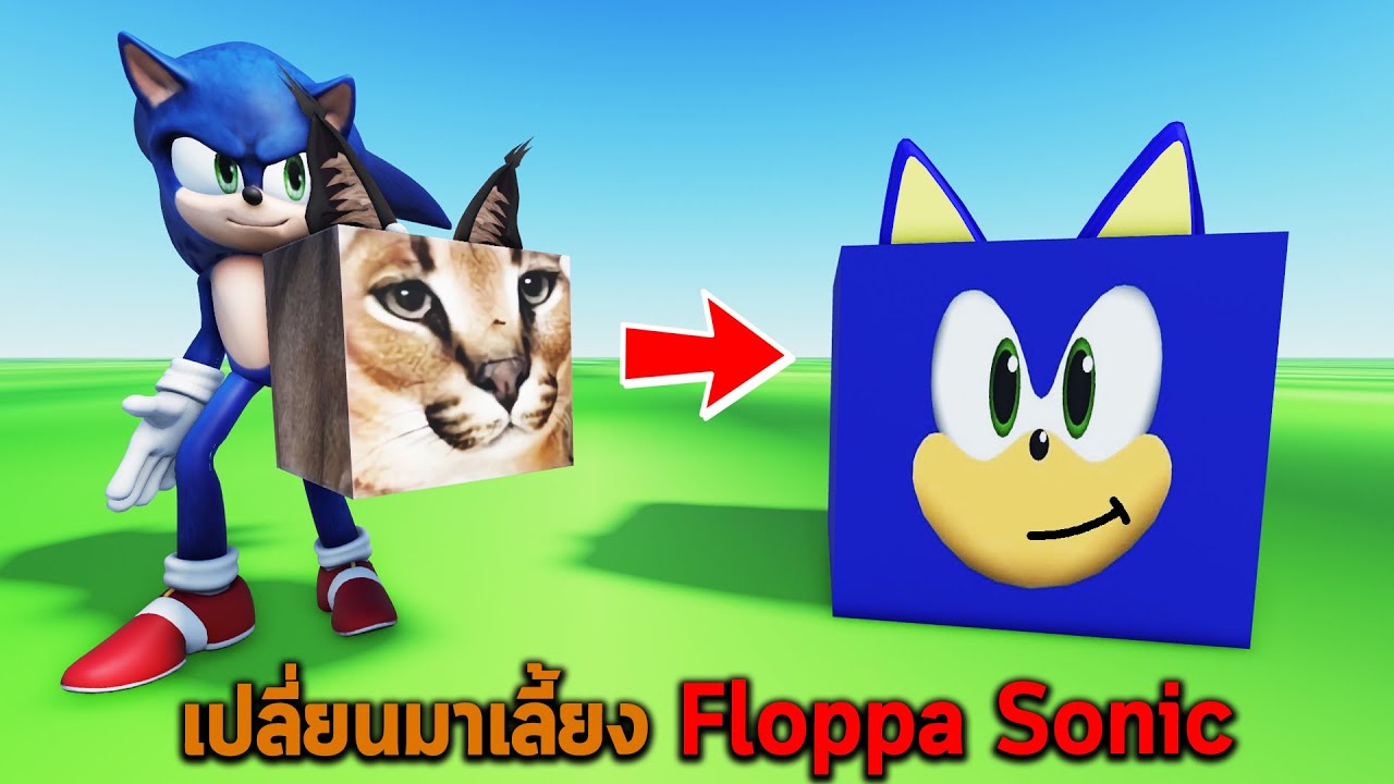 จากเลี้ยง Floppa เปลี่ยนมาเลี้ยง Sonic Roblox Raise A Sonic - YouTube