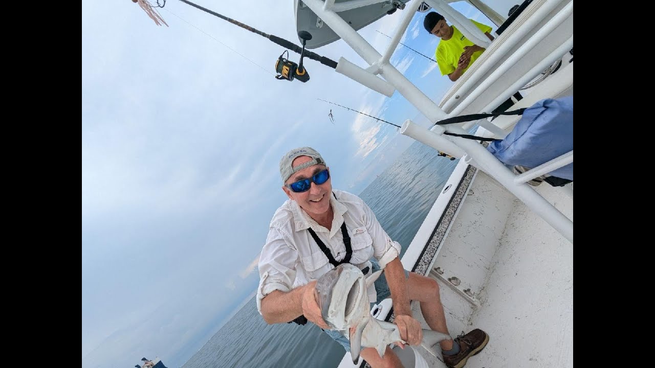 Cobia Hunting and Reef Fishing in the Chesapeake Bay. July 2024 - YouTube