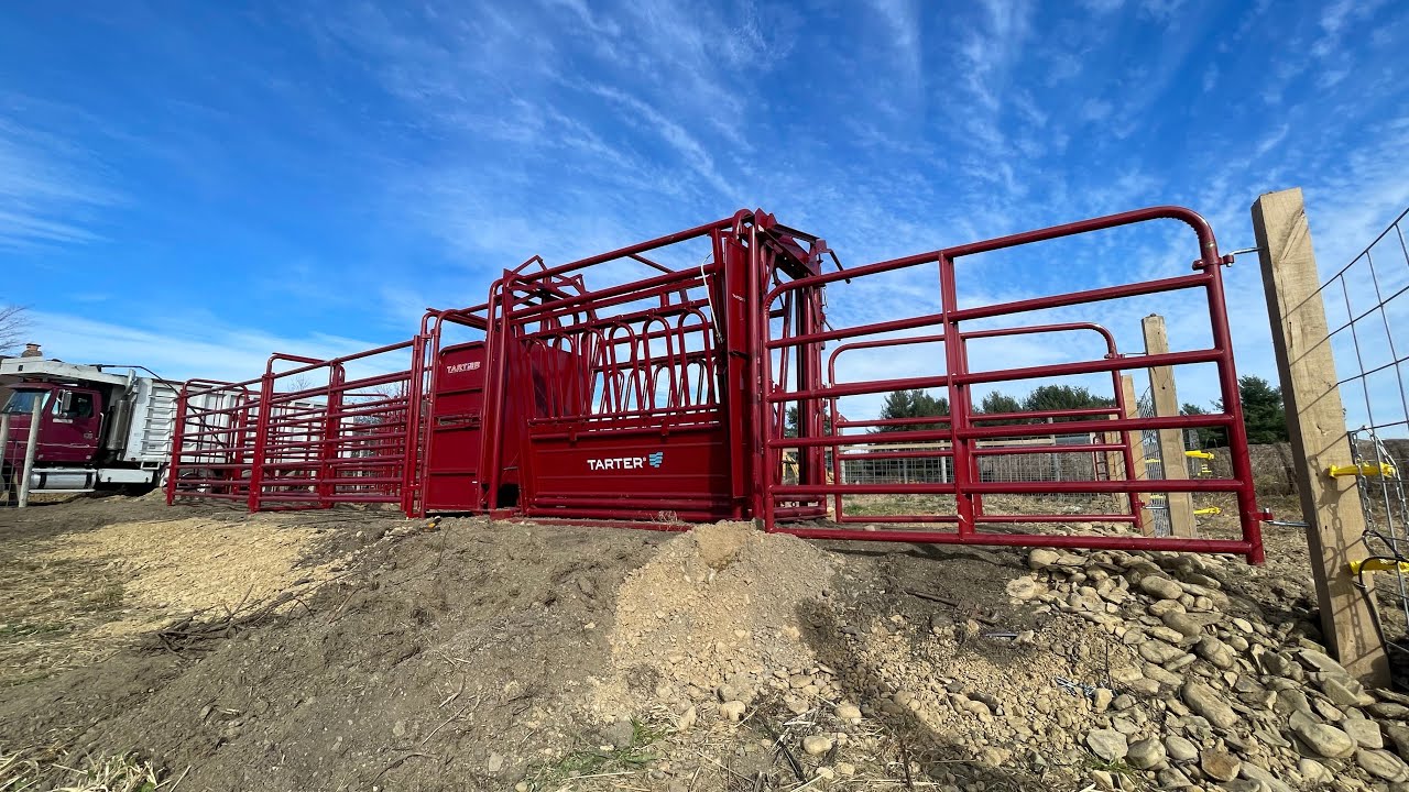 Part 3 Corral System: Chute, Alley and Sweep! - YouTube