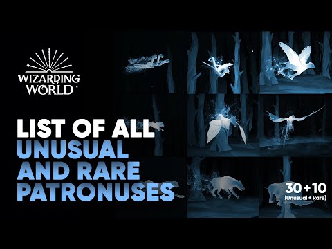 What Does A Fox Terrier Patronus Mean
