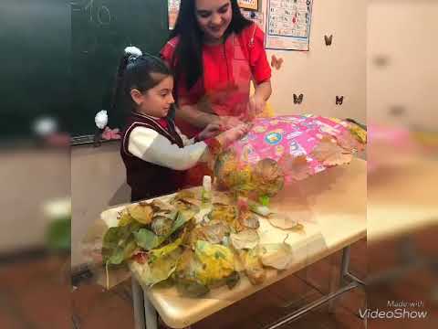 Payız yarpaqları - 1k sinifi