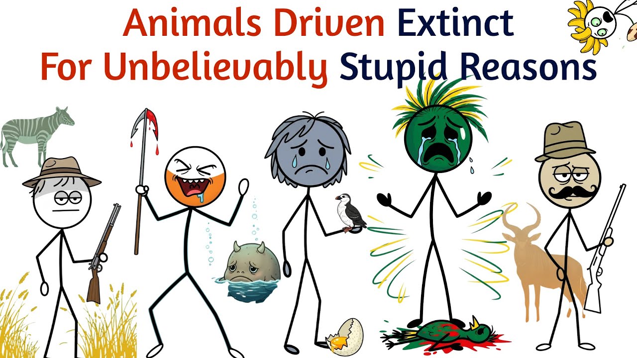 Animals Driven Extinct For Unbelievably Stupid Reasons - YouTube