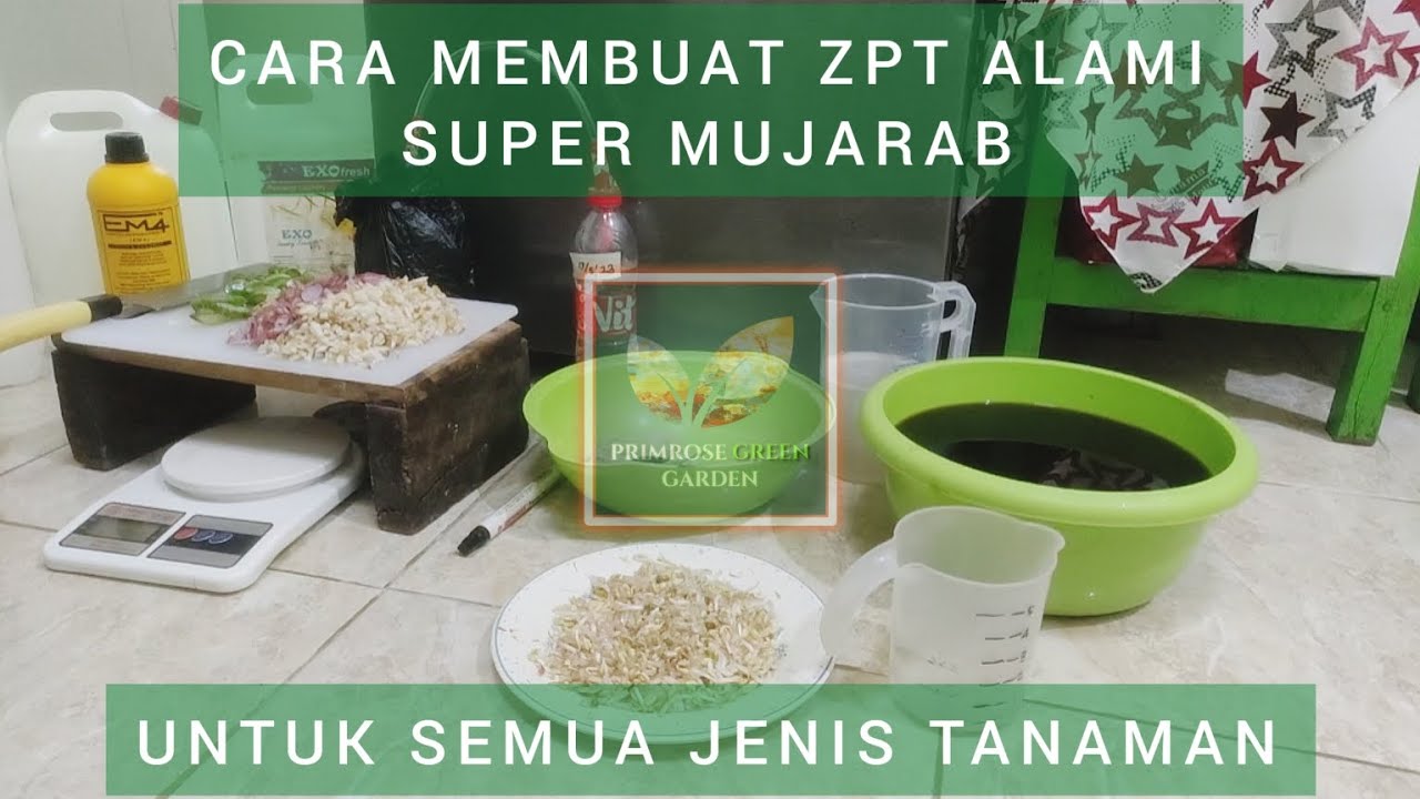 CARA MEMBUAT ZPT ALAMI SUPER MUJARAB UNTUK SEMUA JENIS TANAMAN - YouTube