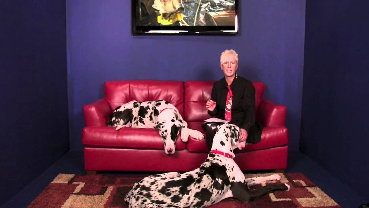 Dr Friday Show The Tax Doctor - YouTube