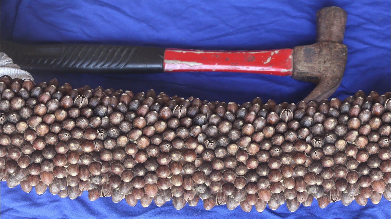 We Help Remove Million Big Ticks on Hand Woman With Hammer That Worked ...