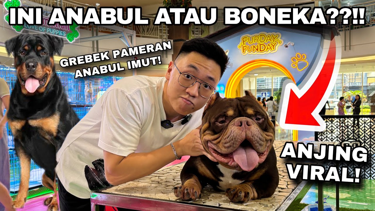 GREBEK PAMERAN ANABUL VIRAL DI MALL TERBESAR INDONESIA! BANYAK BONEKA ...