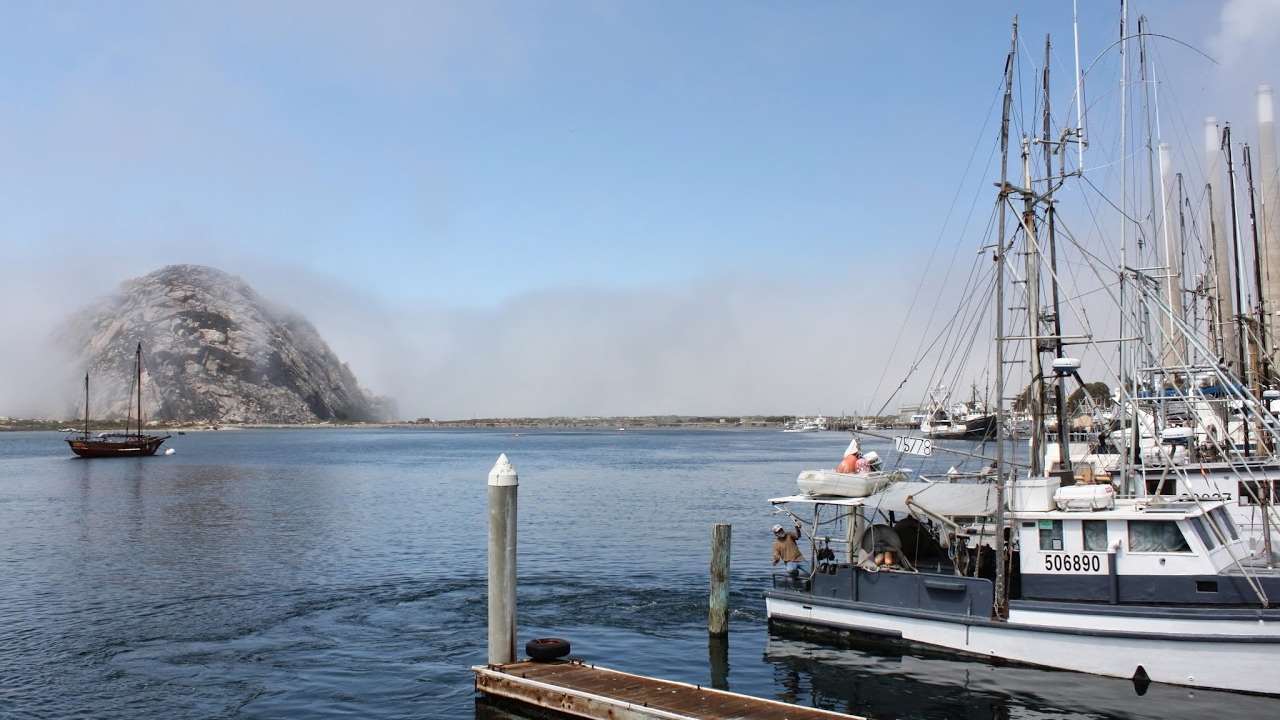 Harbor Payne Springs Live Stream - YouTube