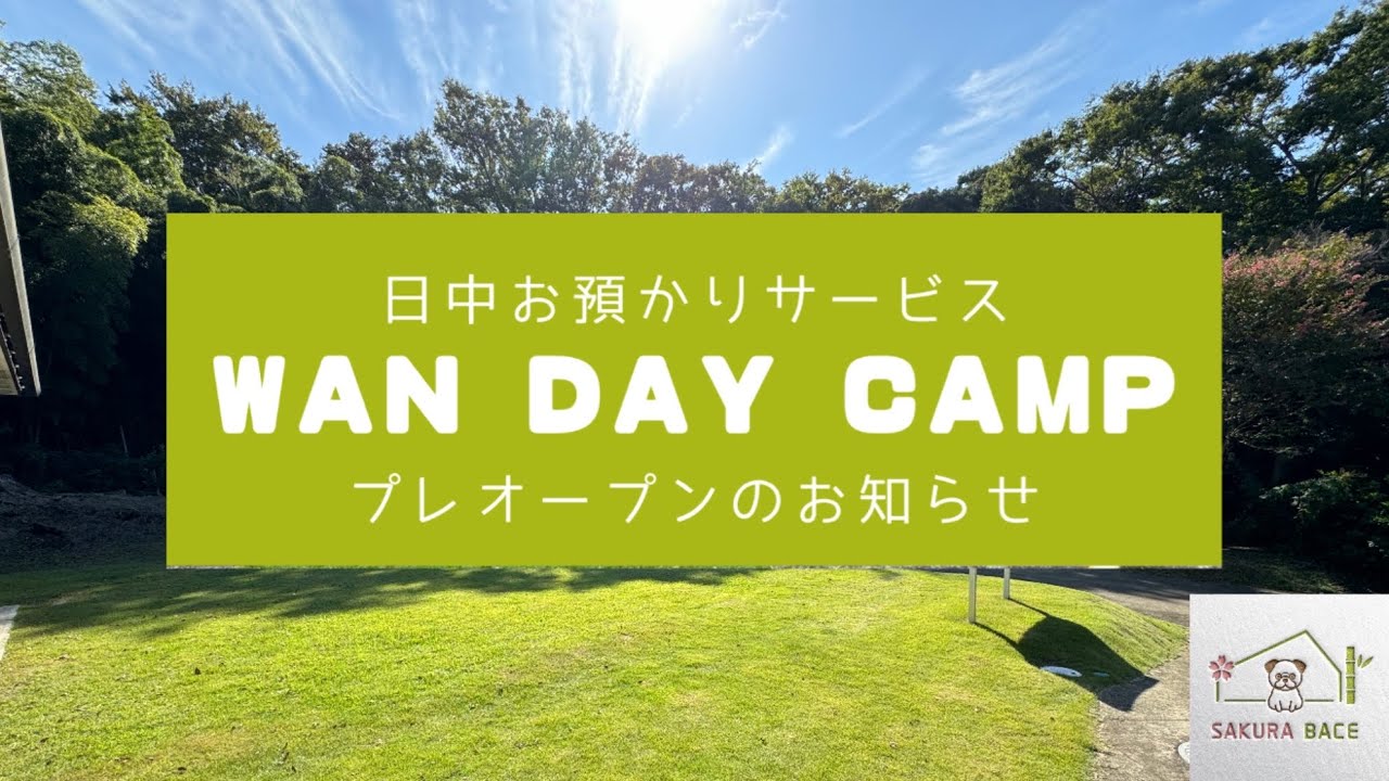WAN DAY CAMP プレオープンのお知らせ SAKURA BACE - YouTube