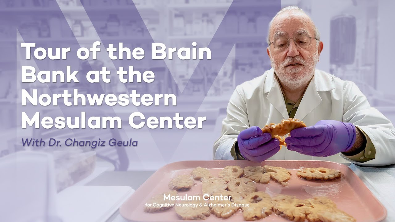 Tour of the Brain Bank at the Northwestern University Mesulam Center ...