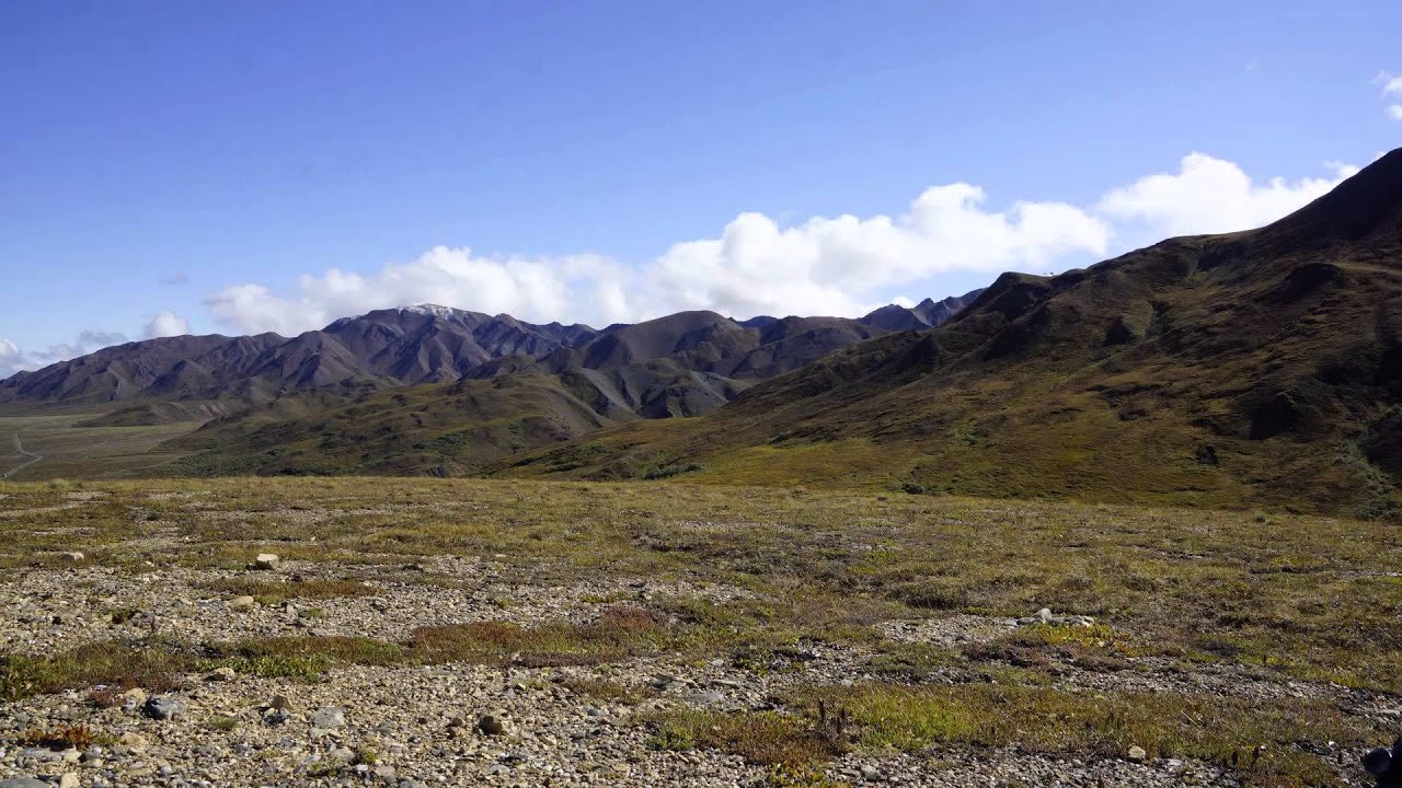 Denali National Park - August, 2012 - YouTube
