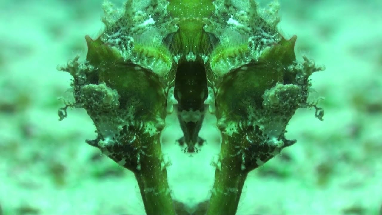 65daysofstatic - 23kid (HD Video) - YouTube