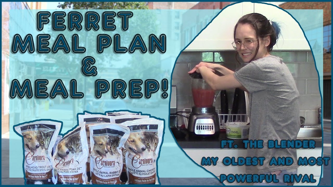 My Ferret Meal Plan & Meal Prep With Me ️ - YouTube