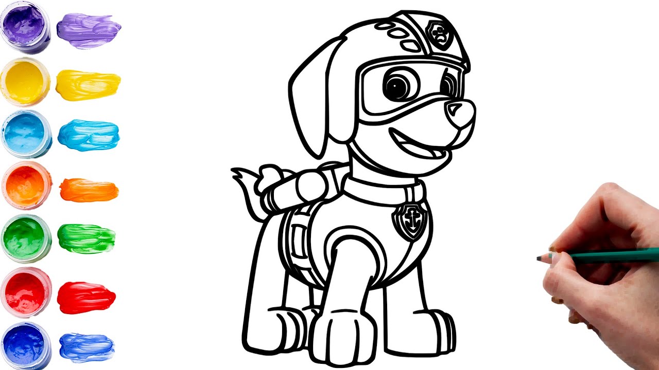 How to Draw Zuma From PAW Patrol : Get Creative With Zuma Drawing - YouTube
