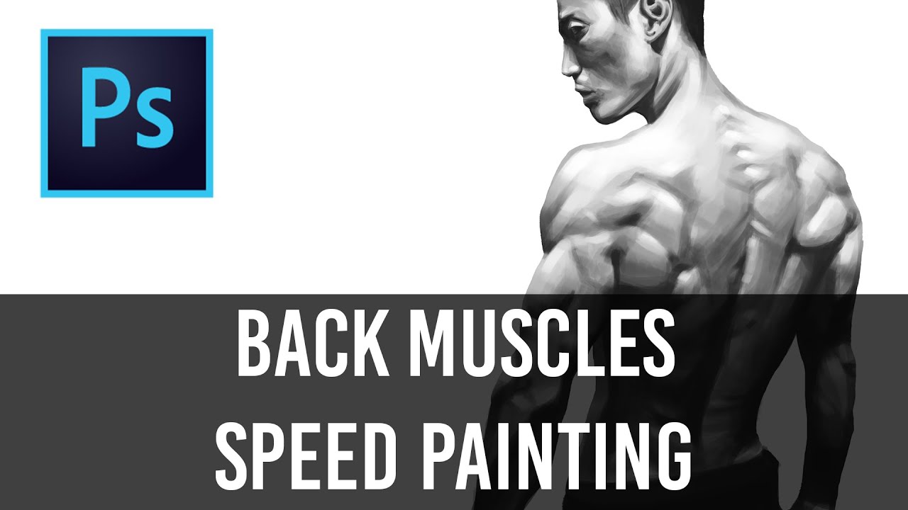 Back Muscles Speed Painting - YouTube
