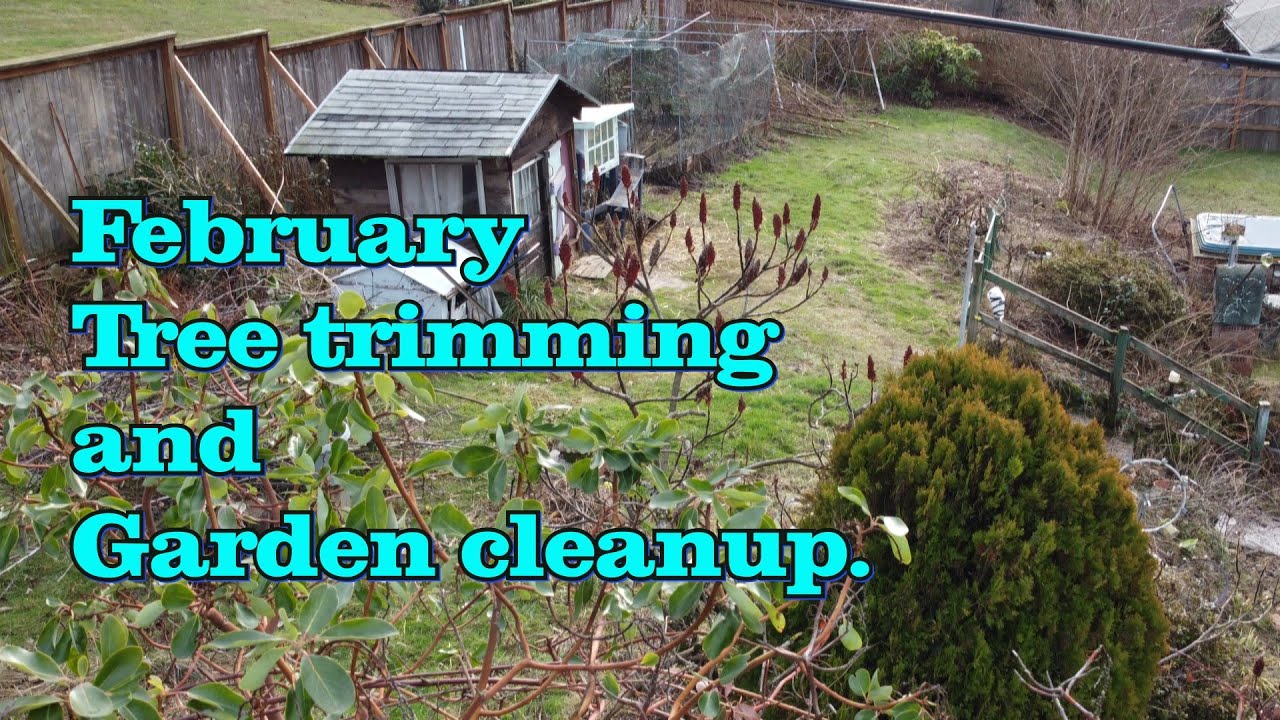 February Tree trimming and Garden cleanup. Love this weather. - YouTube