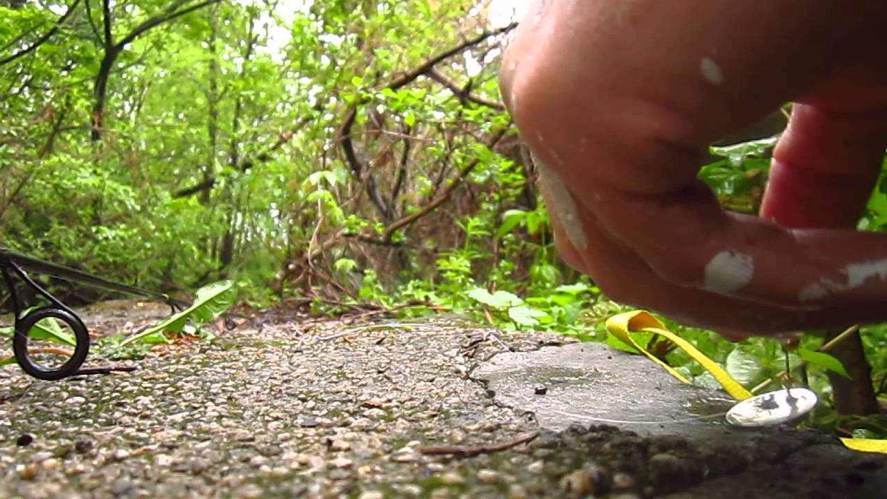 Letort Spring Run ( Biddle Mission Park) - YouTube