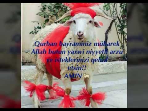 GURBAN BAYRAMINIZ MÜBARƏK