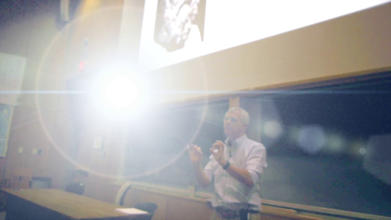 Socrates on Virtue in the Laches - YouTube