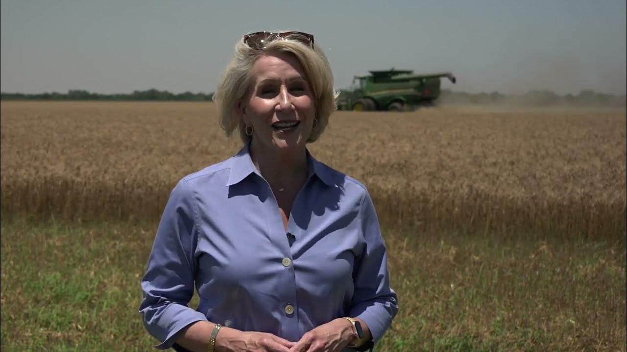Wheat Harvest 2024: The Impact of Family and Farming - YouTube