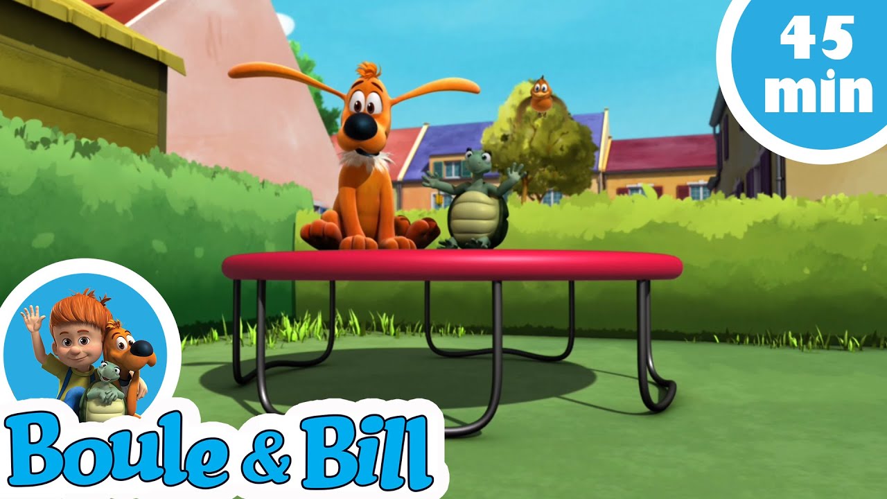 🐢 Boule, Bill et Caroline, une équipe de choc 😊- Nouvelle compilation ...
