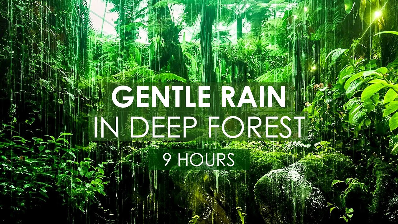 Deep Forest | rain sounds for sleeping | rainforest sounds - YouTube