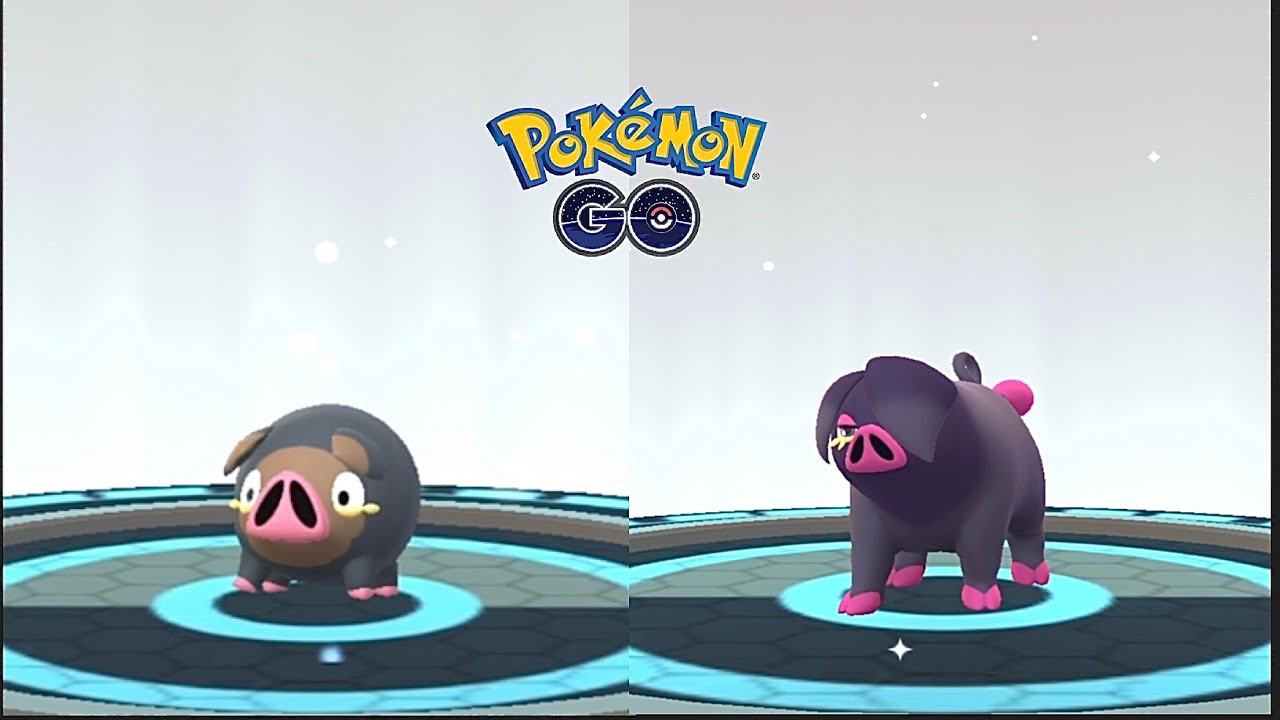 Evolving Lechonk Into Oinkologne - Pokémon GO - YouTube