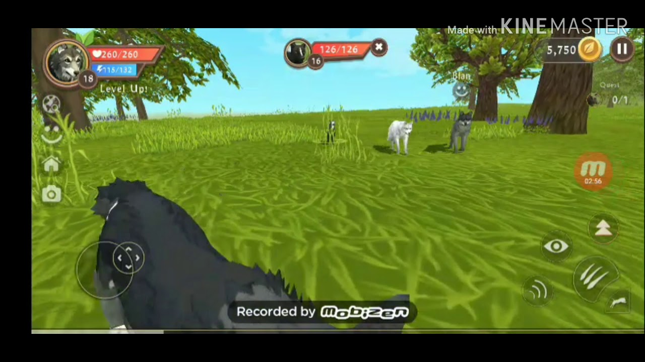 Wild Craft - YouTube