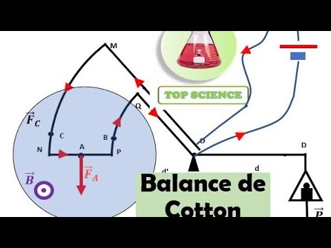 III- FORCE DE LAPLACE ET APPLICATION (2/3) 2- Balence de Cotton - YouTube
