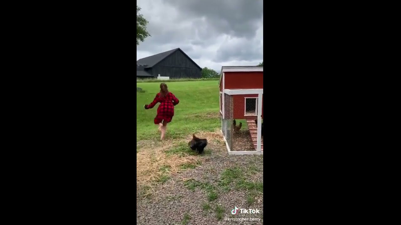 She chase by a crazy chicken everyday~~ - YouTube