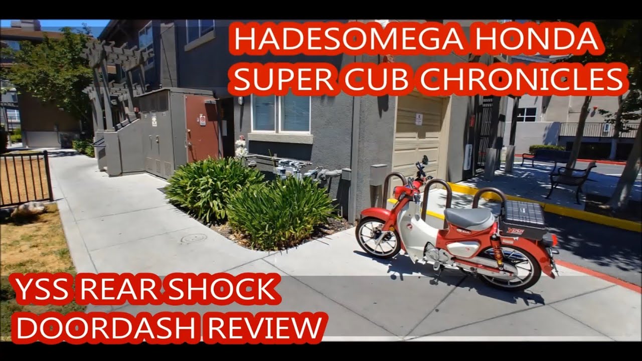 Honda Super Cub YSS Rear Shock Door Dash Test Ride and Review - YouTube