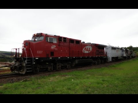Trem da ALL com 5 locomotivas tracionando 130 vagões - YouTube
